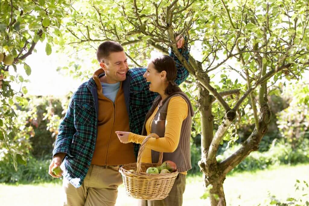 6 Tips for Moving to the Country - Master Movers